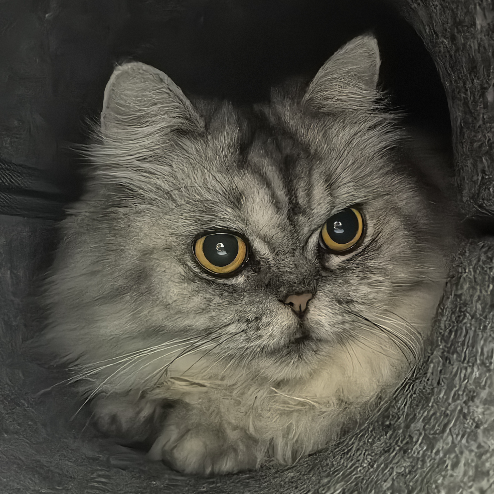 JOJO系列第三部1期：星尘斗士篇！白金之星登场！ - AcFun弹幕视频网 - 认真你就输啦 (?ω?)ノ- ( ゜- ゜)つロ