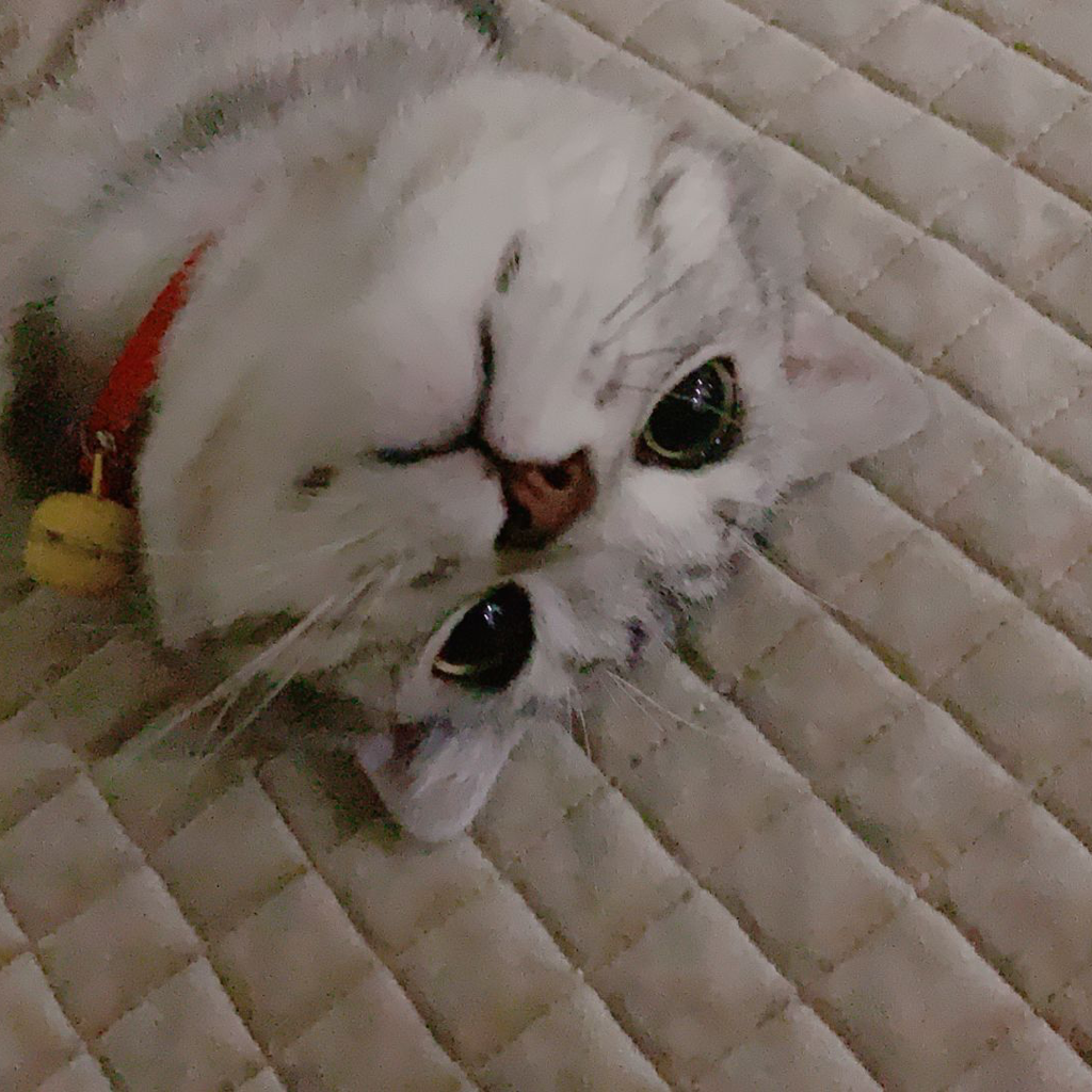 March - AcFun弹幕视频网 - 认真你就输啦 (?ω?)ノ- ( ゜- ゜)つロ