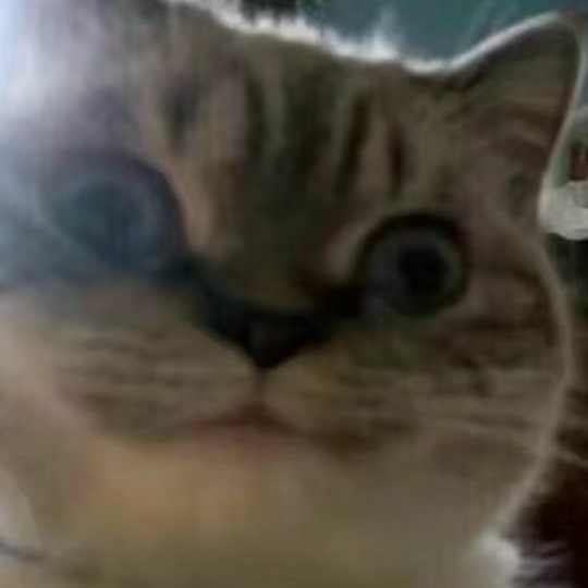 【Kyokyo】LA VIE EN ROSE玫瑰人生 - AcFun弹幕视频网 - 认真你就输啦 (?ω?)ノ- ( ゜- ゜)つロ