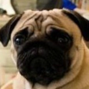 【剧场版】机动战士高达F91【BDRIP】 - AcFun弹幕视频网 - 认真你就输啦 (?ω?)ノ- ( ゜- ゜)つロ