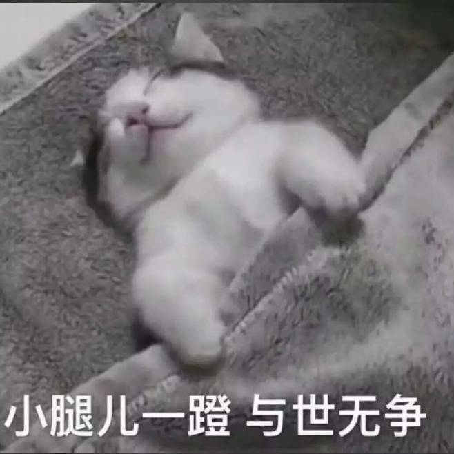 猫步轻悄 LIKE A CAT - AcFun弹幕视频网 - 认真你就输啦 (?ω?)ノ- ( ゜- ゜)つロ