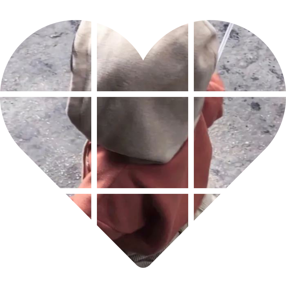 【Kyokyo】LA VIE EN ROSE玫瑰人生 - AcFun弹幕视频网 - 认真你就输啦 (?ω?)ノ- ( ゜- ゜)つロ